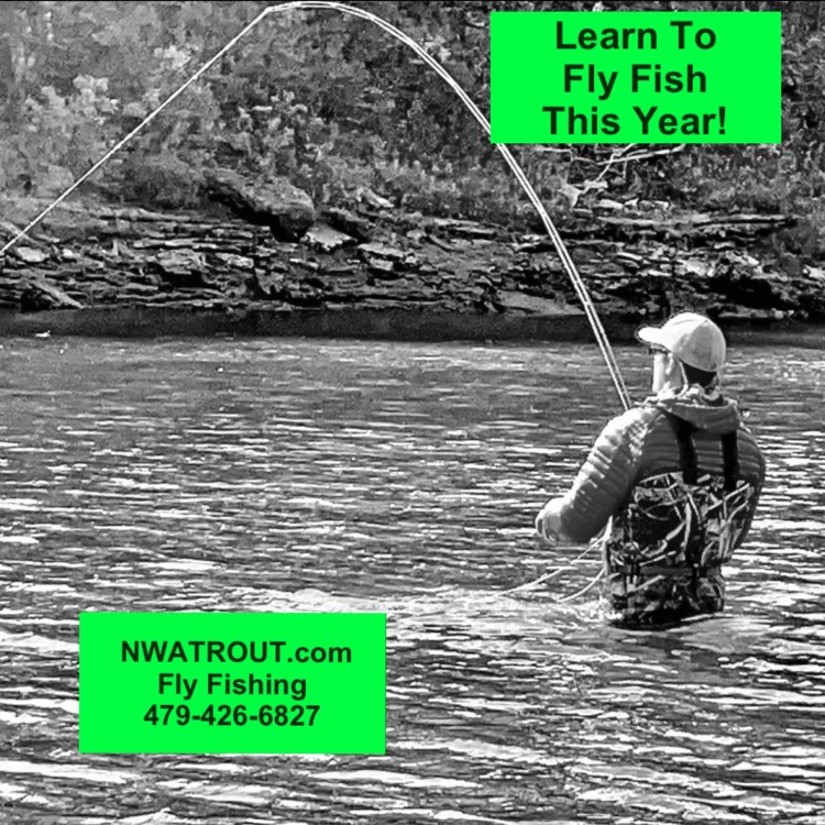 Learn To Fly Fish This Year – NWATROUT Fly Fishing Guide